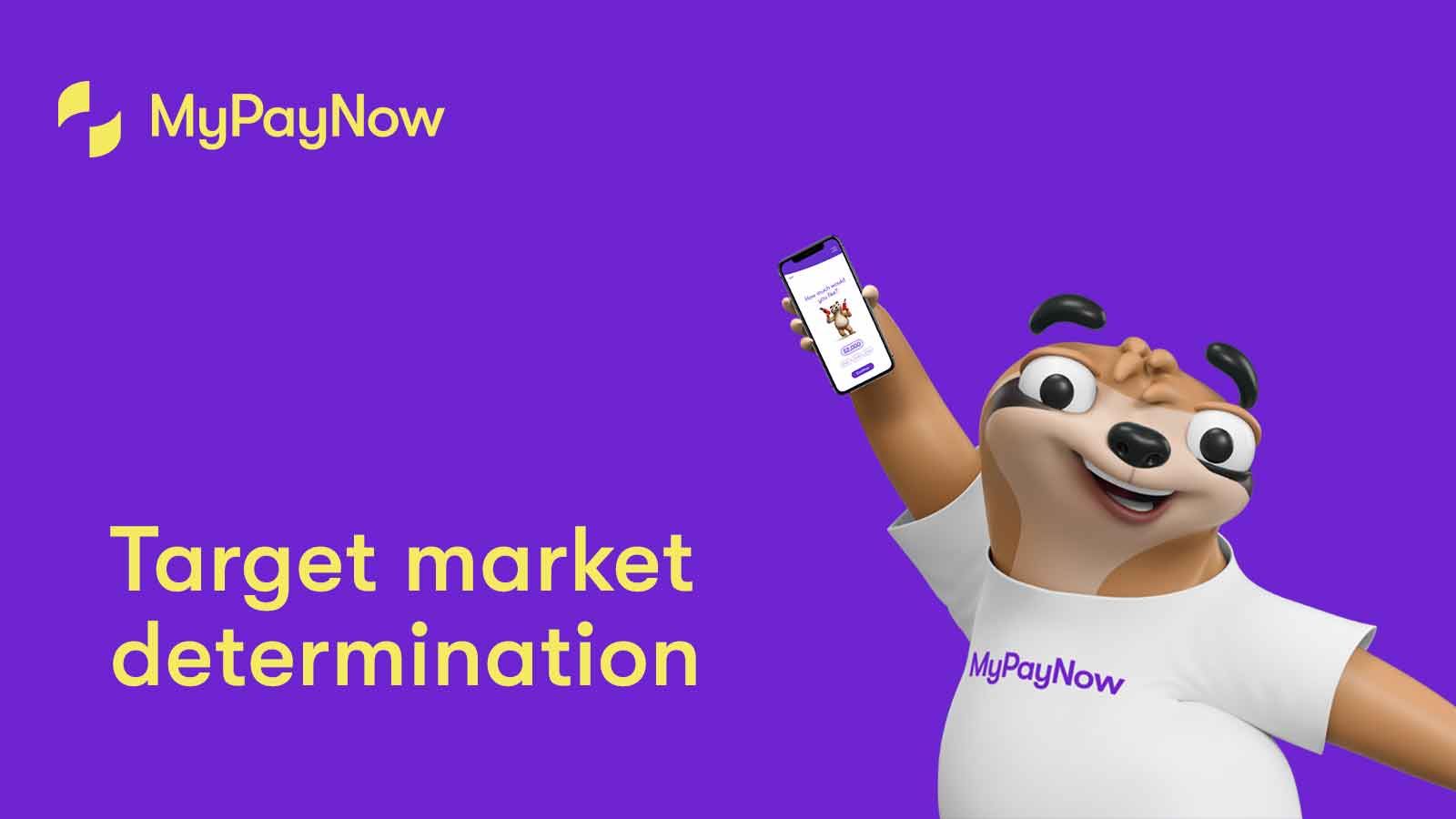 Target Market Determination - MyPayNow